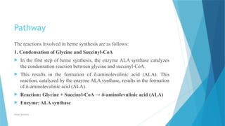Heme Synthesis.pptx....................... | PPT