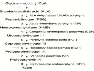 Heme Synthesis and Hereditary Porphyrias.pptx