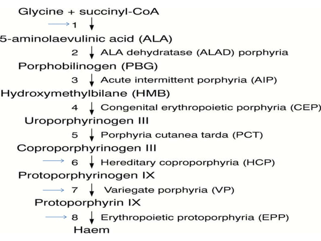 Heme Synthesis and Hereditary Porphyrias.pptx