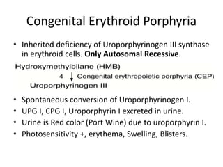 Heme Synthesis and Hereditary Porphyrias.pptx | Blood Disorders ...