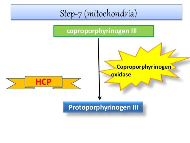 Heme synthesis and porphyrias by dr siva kumar reddy Heme synthesis and porphyrias by dr siva kumar reddy