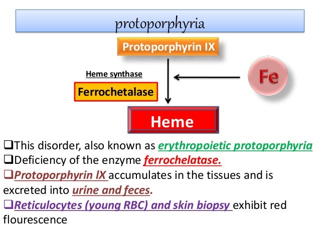 Heme synthesis and porphyrias by dr siva kumar reddy