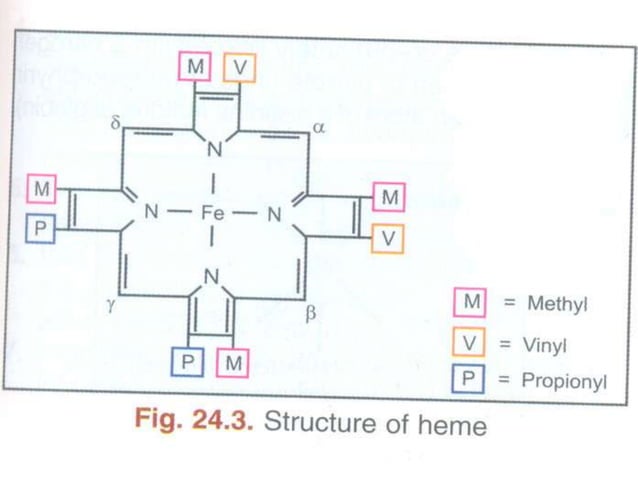 Heme synthesis & disorders | PPT | Chemistry | Science