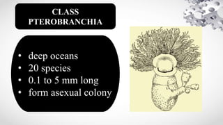 hemi.4.pptx | Chemistry | Science