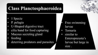 hemi.4.pptx | Chemistry | Science