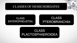 hemi.4.pptx | Chemistry | Science