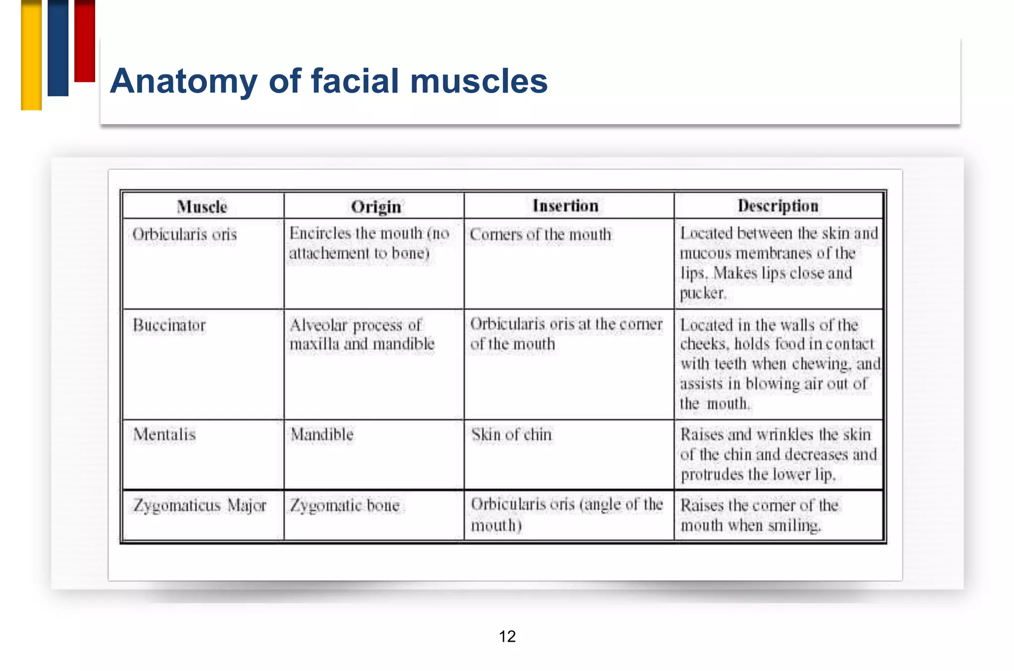 Hemifacial spasm | PDF