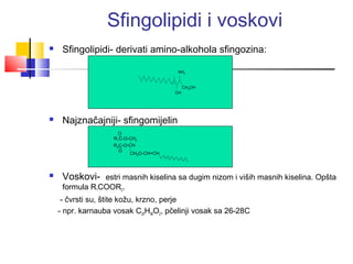 Hemija r4 lipidi | PPT