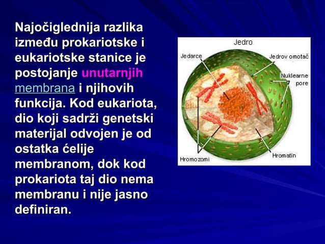 Hemijski sastav celije 2010.ppt prezentacija | PPT