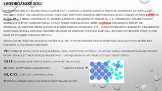 Hemijski sastav celije Ivana Jelkic | PPTX