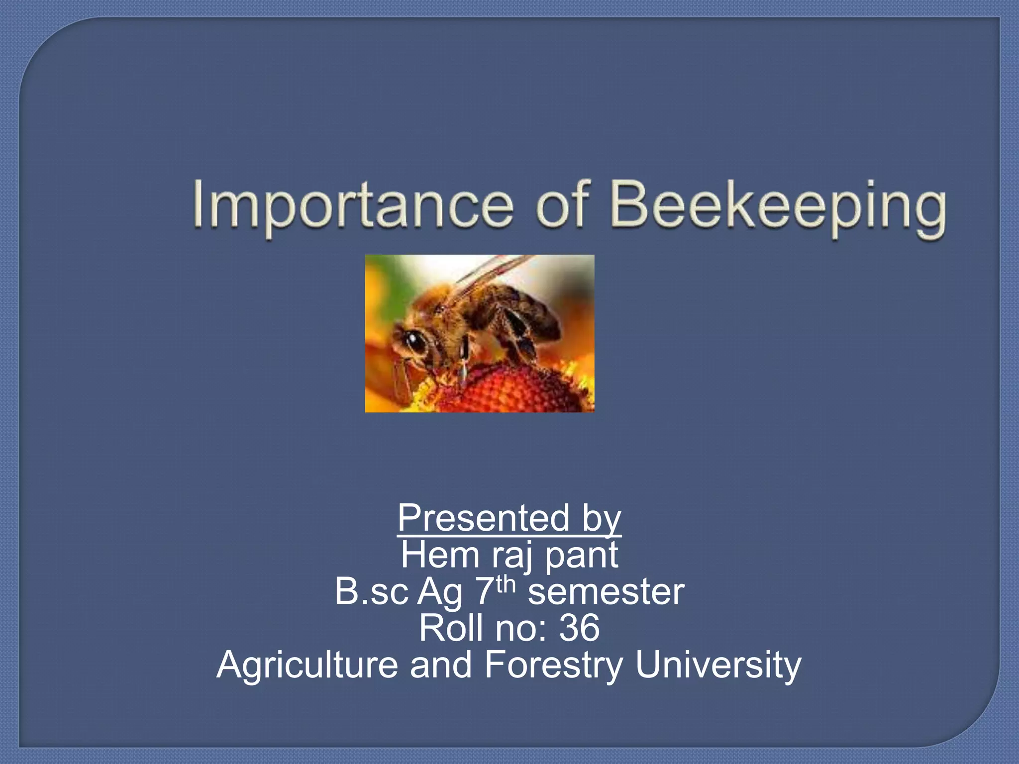 Importance of beekeeping | PPTX