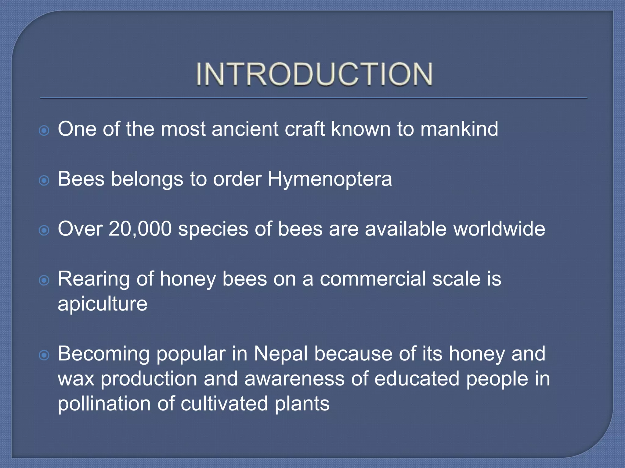Importance of beekeeping | PPTX