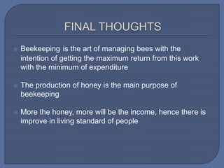Importance of beekeeping | PPTX