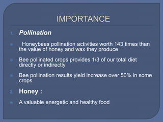 Importance of beekeeping | PPTX