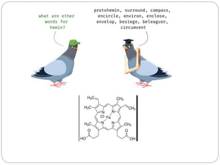 Hemin | PPTX