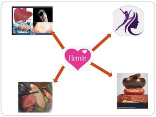 Hemin | PPTX
