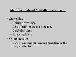 Hemiplegia | PPT