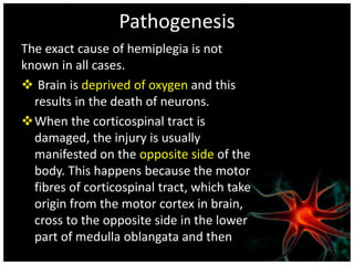 Hemiplegia (1) | PPTX
