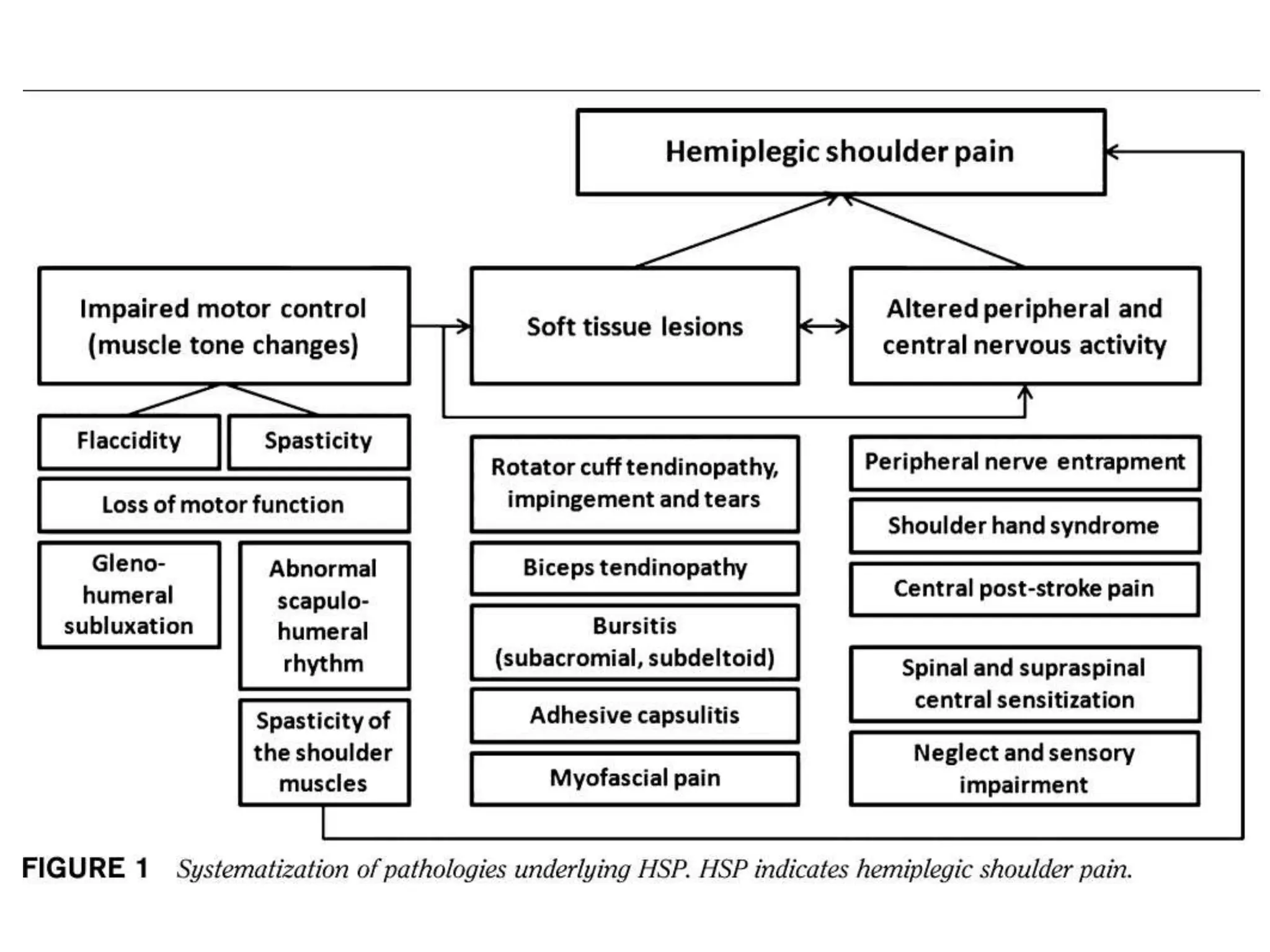 Hemiplegic Shoulder | PPTX