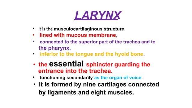 HEMISECTION OF HEAD AND NECK WITH CLINICAL ANATOMY.pptx | Thyroid ...