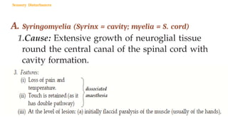 Transection of spinal cord and cerebellum | PPTX