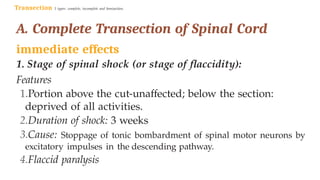 Transection of spinal cord and cerebellum | PPTX