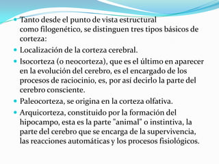 Hemisferios cerebrales | PPTX