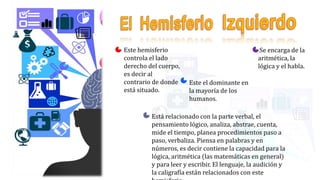 Los Hemisferios cerebrales | PPTX