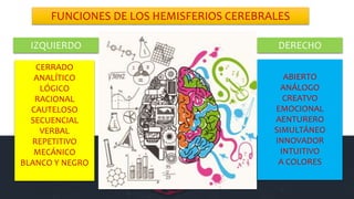 Hemisferios cerebrales - PRESENTACIÓN original | PPTX