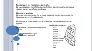 HEMISFERIOS CEREBRALES DEL CEREBRO DE LAS ESTRUCTURAS DEL CEREBRO | PPTX