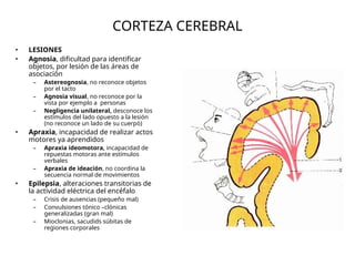 HEMISFERIOS CEREBRALES Y TELENCEFALO.ppt
