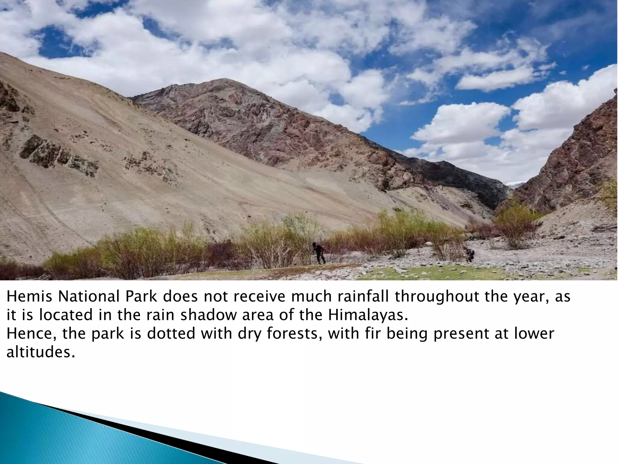 HEMIS NATIONAL PARK.pptx