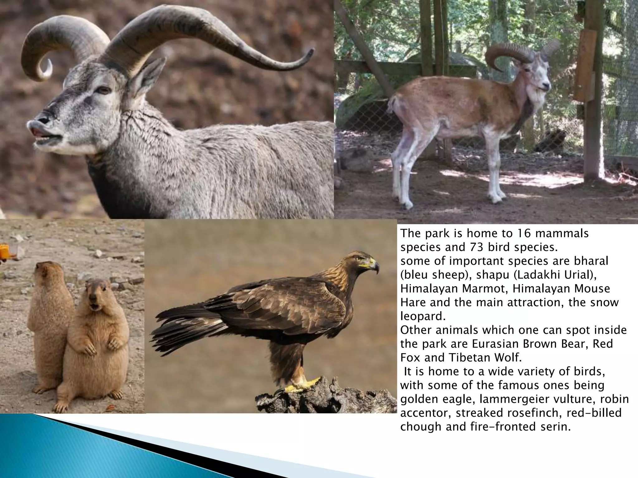 HEMIS NATIONAL PARK.pptx