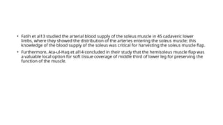 HEMISOLUS MUSCLE FLAP JOURNAL LOWER LIMB DEFECTS | PPTX