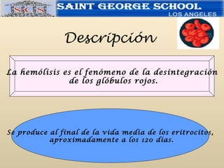 Hemólisis | PPT
