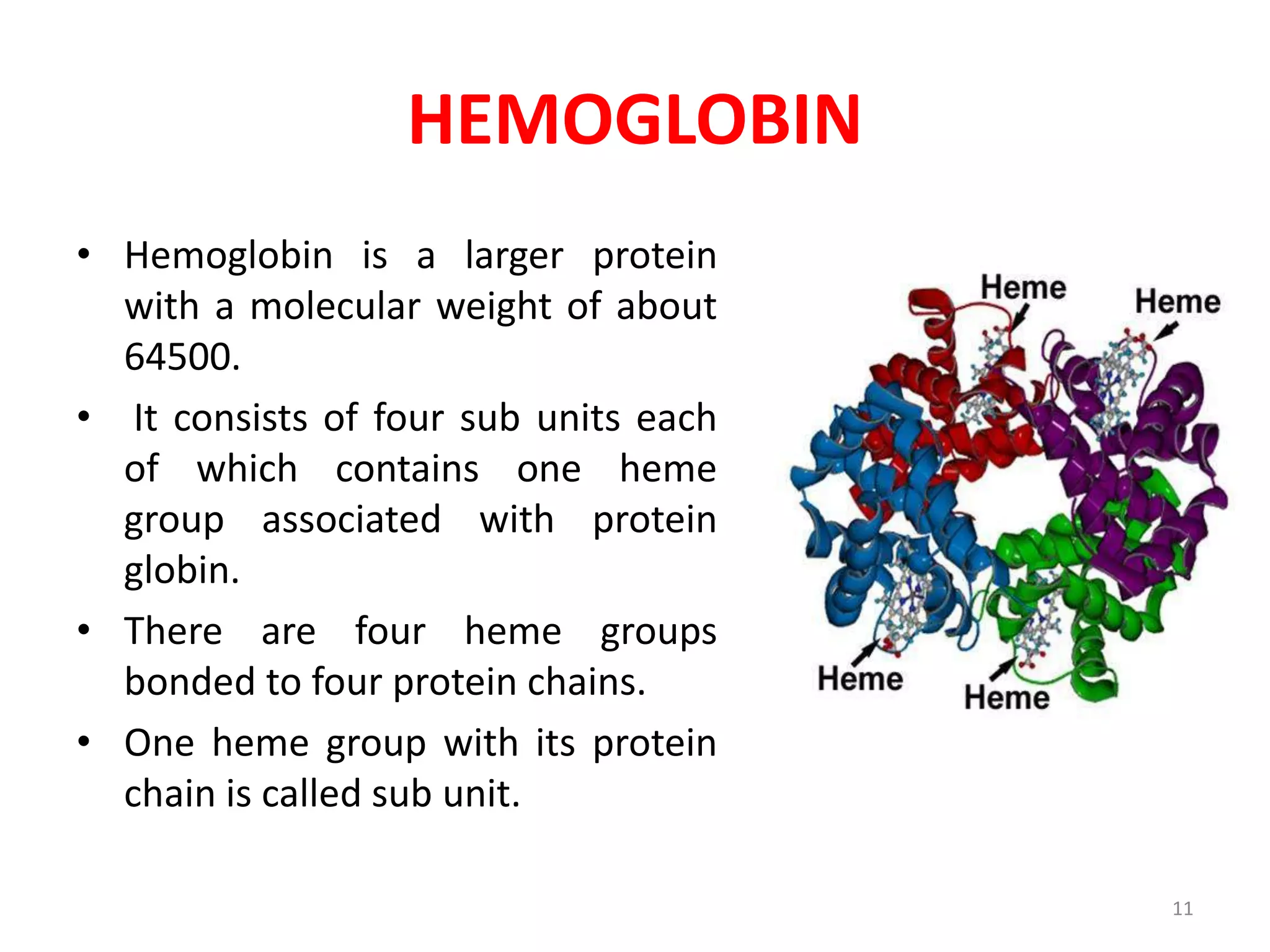 Hemoglobin and myoglobin | PPTX