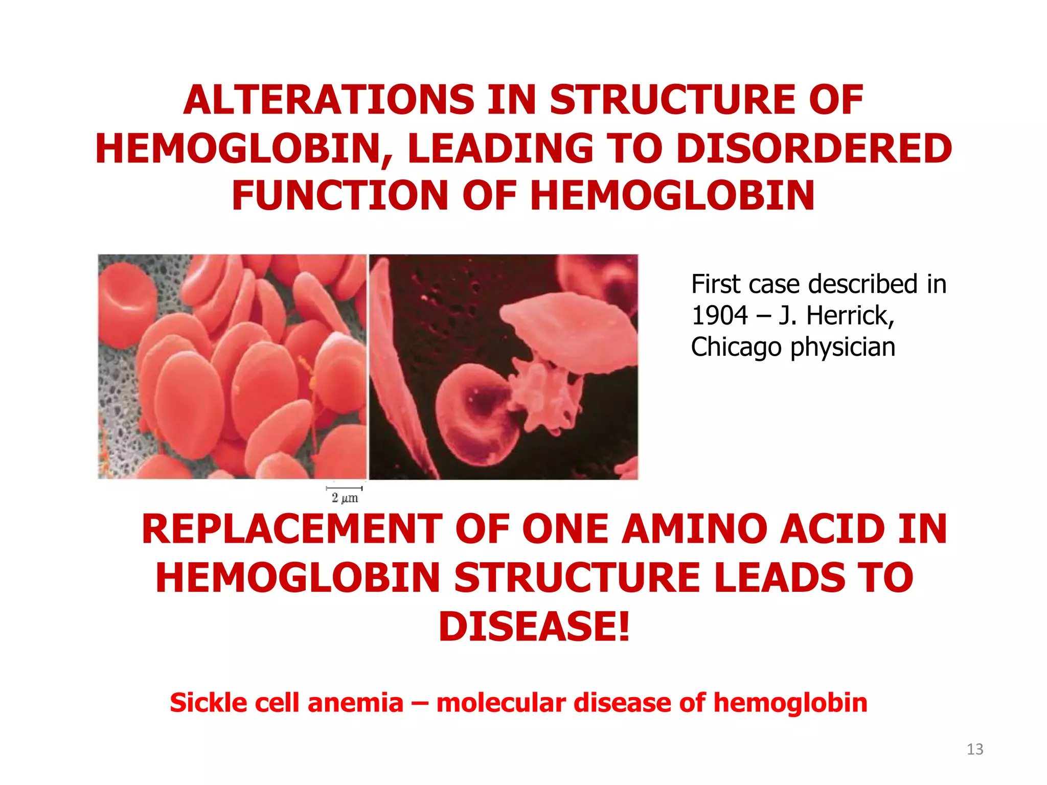 Hemoglobin and myoglobin | PPTX