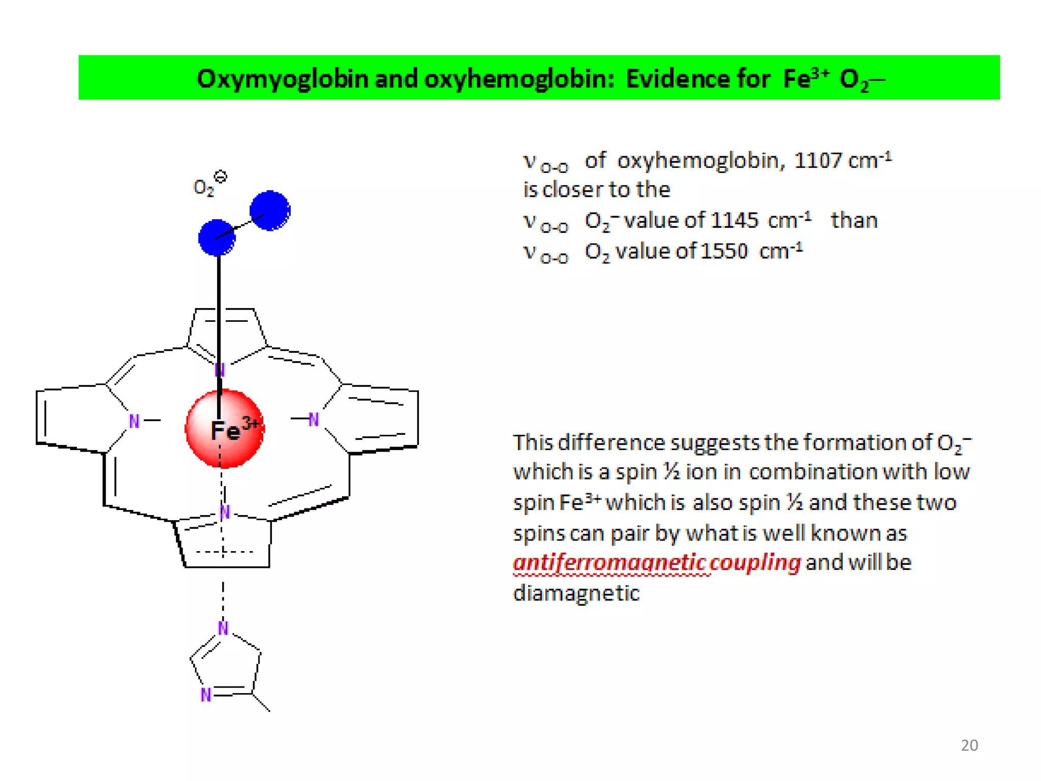 Hemoglobin and myoglobin | PPTX