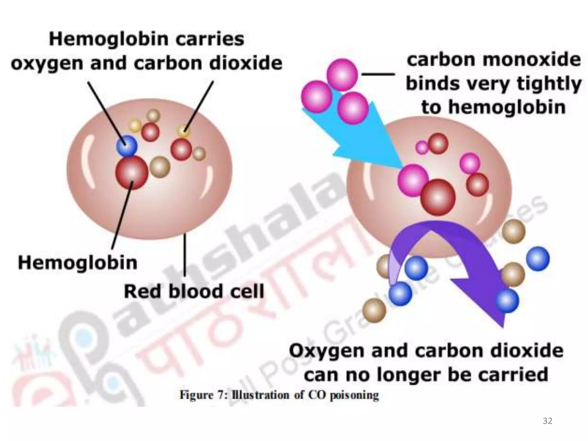 Hemoglobin and myoglobin | PPTX
