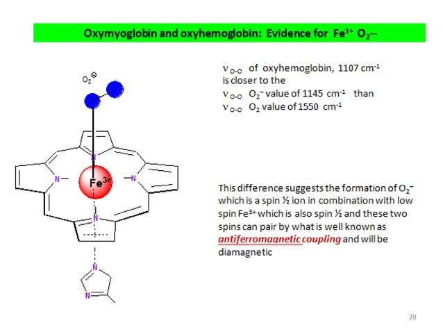 Hemoglobin and myoglobin | PPTX