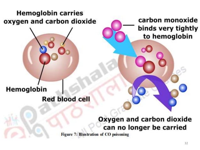 Hemoglobin and myoglobin | PPTX