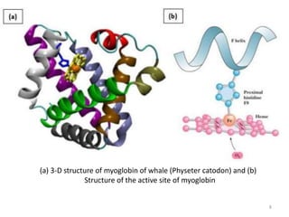 Hemoglobin and myoglobin | PPTX