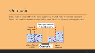 HEMO-DIALYSIS.pptx
