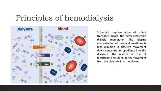 HEMO-DIALYSIS.pptx