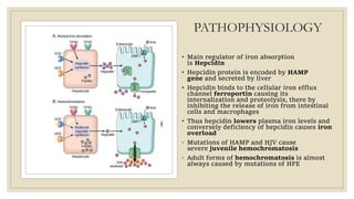 HEMOCHROMATOSIS.pptx