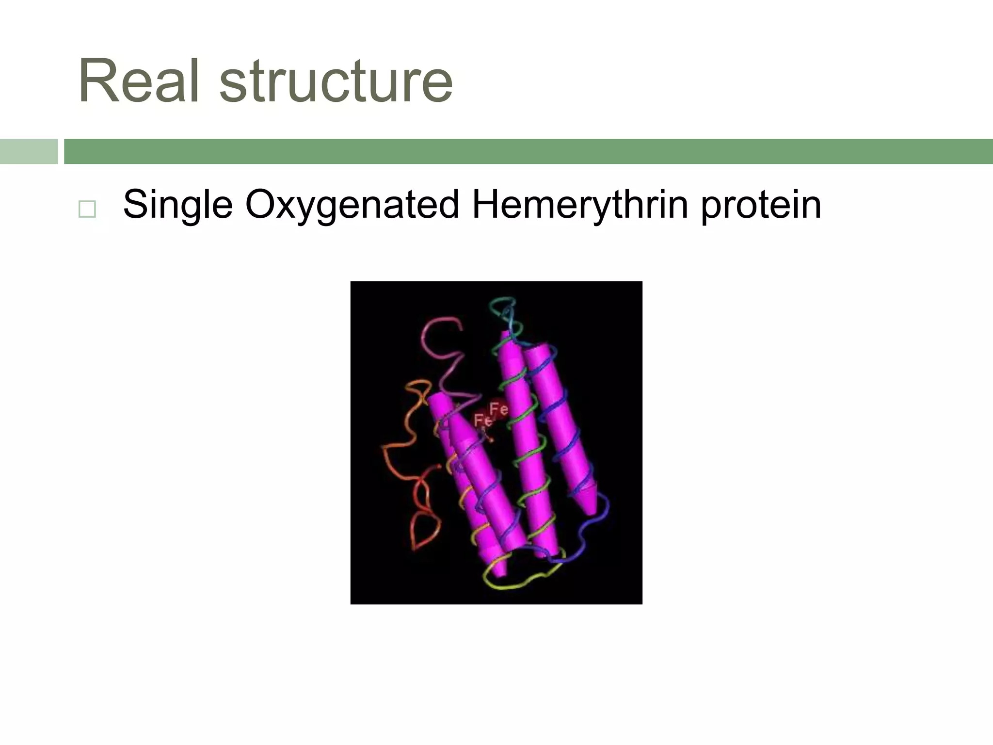 Hemocyanin and Hemerythrin | PPTX