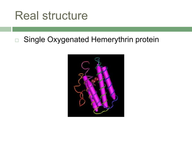 Hemocyanin and Hemerythrin | PPTX | Blood Disorders | Diseases and ...