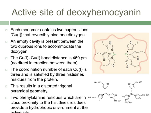 Hemocyanin and Hemerythrin | PPTX | Blood Disorders | Diseases and ...