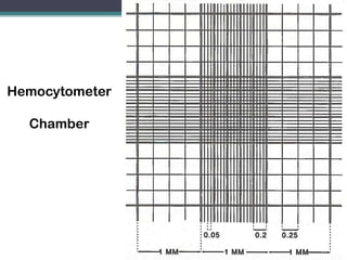 Hemocytometer | PPTX