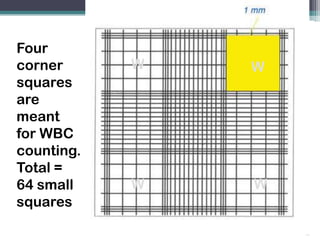 Hemocytometer: Types, Design, Parts, And Procedure For Cell, 56% OFF